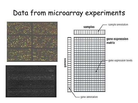 Ppt Class Prediction For Experiments With Microarrays Powerpoint Presentation Id4229858