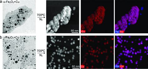 Tem And Haadf Stem Images Of The Reaction Mixture A Fe O Cu