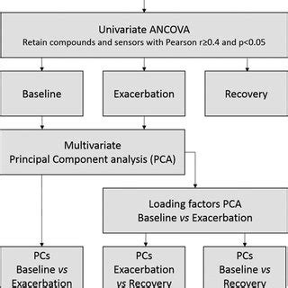 Statistical Analysis Download Scientific Diagram