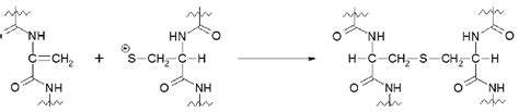 Wo2014118212a1 Composition Comprising A Dicarboxylic Acid And An Oil