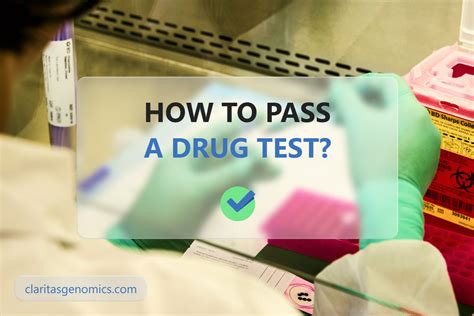 How To Pass A Drug Test In 2023 Tips Tricks And Methods