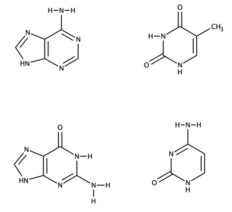 Survey Of Biochemistry Exam 2 Diagram Quizlet