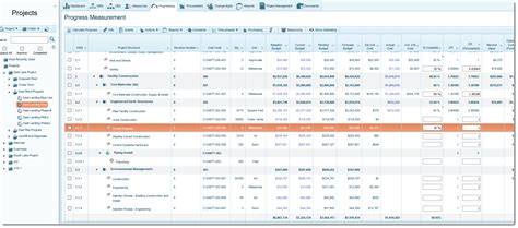 Software For Project Controls Professionals