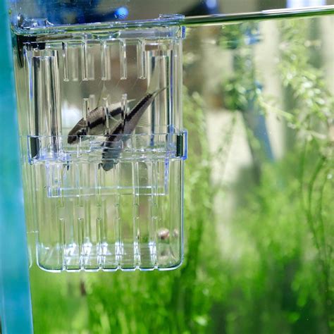 Double Layer Self Floating Incubator With Suction Grandado