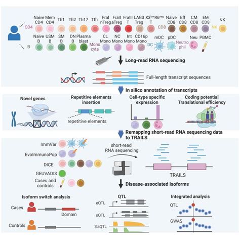 Groundbreaking RNA Sequencing Study Uncovers New Insights Into Alternative Splicing And Disease