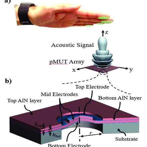A Illustration Of The Haptic Perception Of A Sound Generated By A Download Scientific Diagram