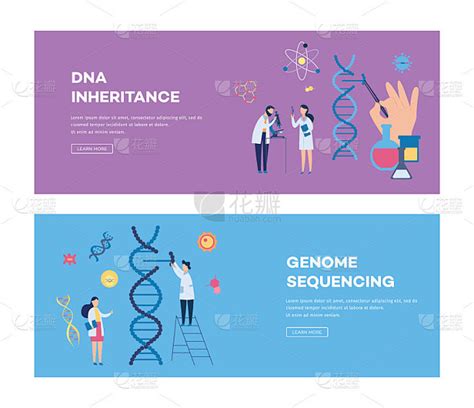 Dna遗传和基因组测序