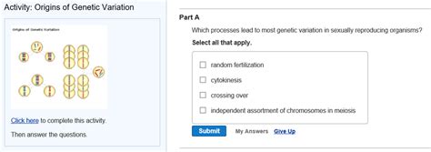 Solved Which Processes Lead To Most Genetic Variation In