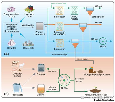 综述 理解细菌生态学以对抗抗生素耐药传播 知乎