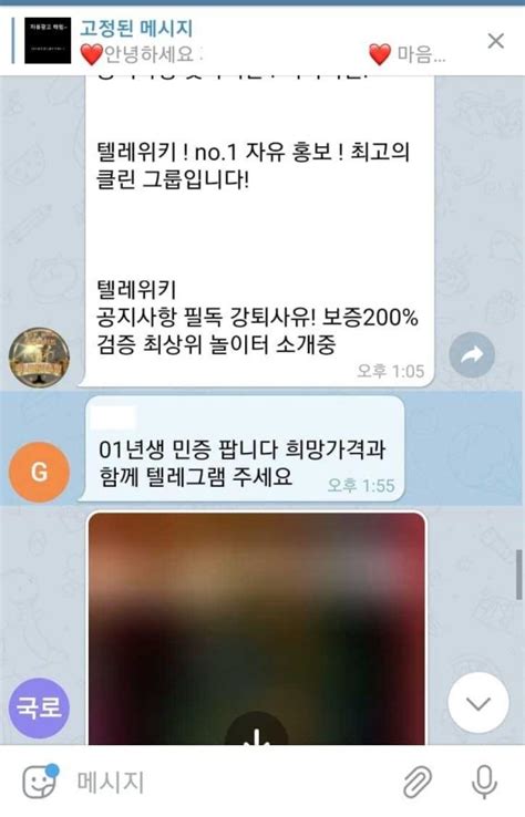 수사 대상될라 성착취 N번방 수만명 텔렉시트 네이트 뉴스
