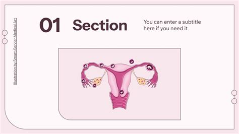 Sexual And Reproductive Health Presentation