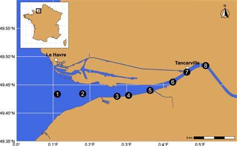 Together Throughout The Year Seasonal Patterns Of Bacterial And… Jérôme Morelle