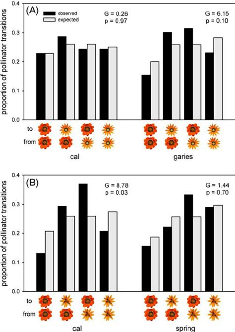 Flower Constancy Of Megapalpus Flies On Mixed Arrays Of Gorteria Download Scientific Diagram