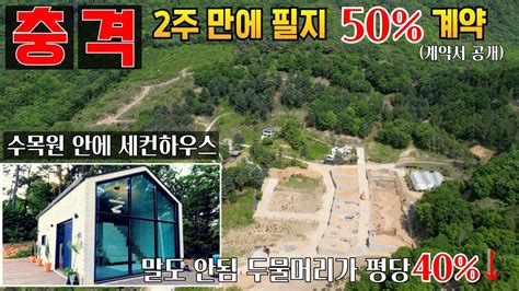 다시 없을 기회 수목원 안에 내 별장세컨하우스캠핑장 가능 풍경이 예술이네요 땅값은 거의 반 값으로 인하 Youtube