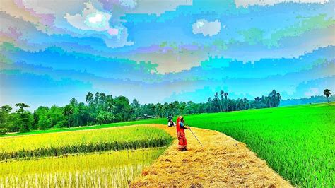 অসম্ভব সুন্দর গ্রামের দৃশ্য যা দেখলে মন ভরে যাবে। Bangladesh Beautiful Village Scenery। Village