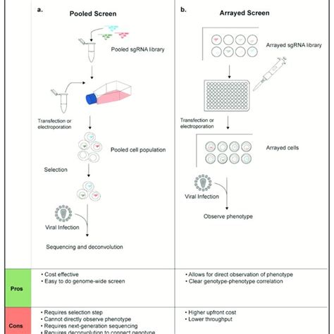 Pooled Versus Arrayed Crispr Cas9 Screens In Host Factor Discovery