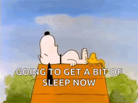 Rest Charlie Brown  Rest Charlie Brown Discover And Share S