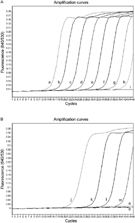 Amplification Plot Of Fluorescence Y Axis Vs Cycle Numbers X Axis Download Scientific
