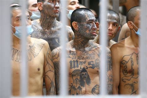What We Know About Cecot El Salvadors Mega Prison Taking Trumps Deportees Abc News