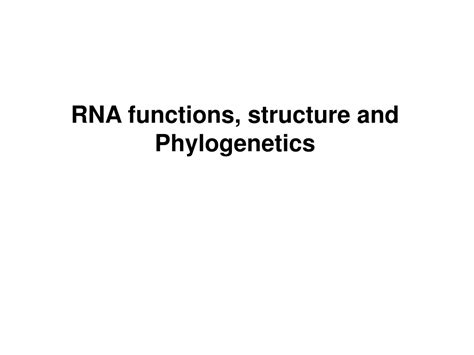 Ppt Unraveling Rna Functions Structure And Phylogenetics For Biologists Powerpoint