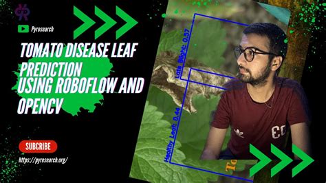 Tomato Disease Leaf Prediction Using Roboflow And Opencv Youtube