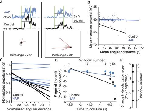 Figures And Data In Biophysics Of Object Segmentation In A Collision Detecting Neuron Elife