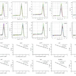 Confirmation Of The Primer Amplification Specificity And Efficiency Download Scientific