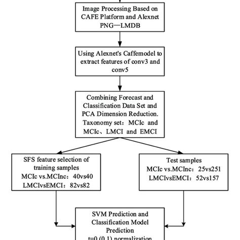The Flowchart Of Transformation Prediction And Classification Methods Download Scientific Diagram