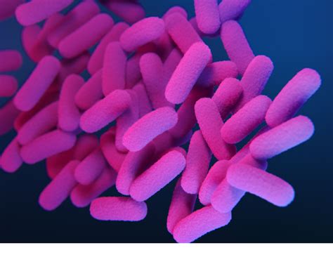 Pertussis Us National Park Service