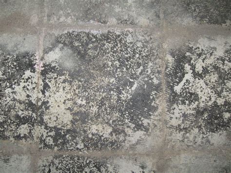 Tile Adhesive Asbestos At Maya Hurley Blog