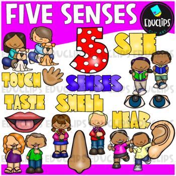 Clipart For The Five Senses