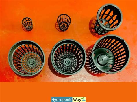 Why Your Ph Meter Is Giving You Incorrect Readings And How To Troubleshoot Them