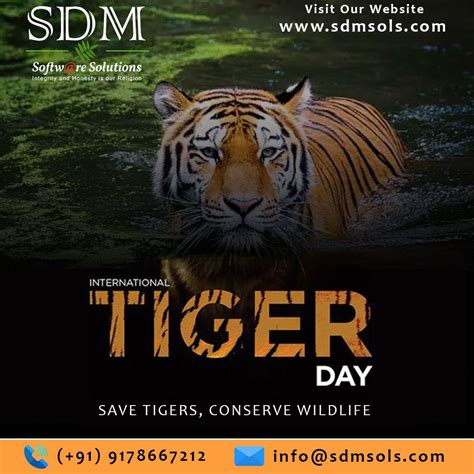 Deeprekha De On Linkedin Appdeveloper Codingbootcamp