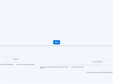 Translation And Transcription Map Two Mind Map