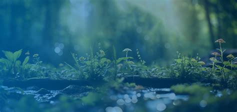 Live From The Lab Classification Of Botanicals Using Maldi Tof Ms Bruker