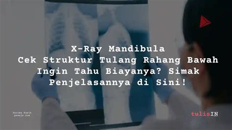 Berapa Harga Plain Foto Abdominal Bno Abdomen Ap Rontgen Perut