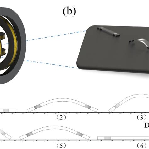 A Schematic Diagram Of The Magnetically Driven Soft Robot B Schematic