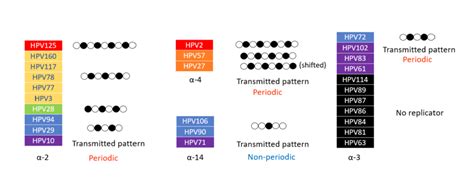 The Single Patterns Transmitted By Replicator Networks Of Maximal Size Download Scientific