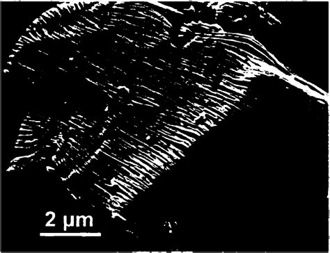 Two Dimensional Metal Carbonitride Derived Nano Material And Preparation Method Therefor