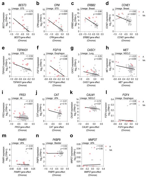 Analysis Of Cancer Genomic Amplifications Identifies Druggable Collateral Dependencies Within