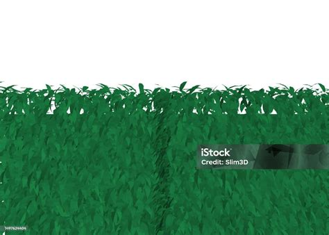 푸른 잔디 울타리 직사각형 회양목 관목 다각형 공원 정원 또는 녹색 울타리를 장식하기위한 관상용 식물 봄과 여름 카드 디자인을위한 단풍 잔디 울타리 다각형입니다 3d 관목에