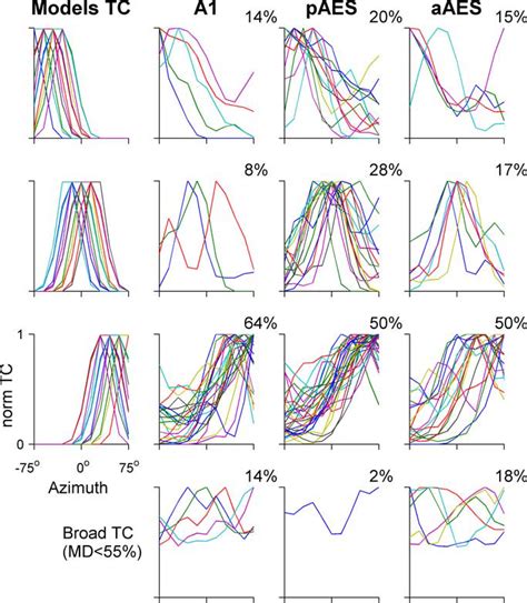Normalized Tuning Curves Of Azimuth Selective Neurons Distributed By Download Scientific