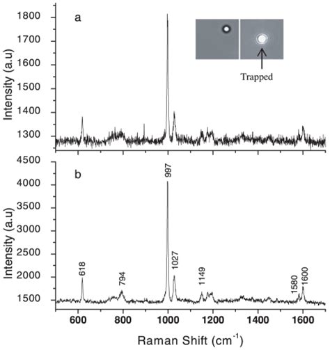 Raman Spectra Of A Polystyrene Bead Trapped At ∼5 Mw Power And Raman Download Scientific
