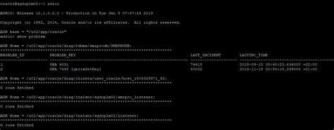 Oracle Database Commands And Practical Examples Oracle 12c Adcri