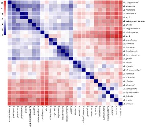 Heatmap Of Pairwise Uncorrected P Distances Of The 16s Rrna Gene Of Download Scientific Diagram
