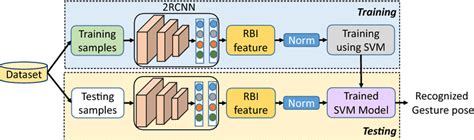 Block Diagram Of The Proposed RBI RCNN Network For The Recognition Of Download Scientific