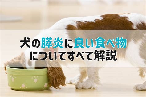 犬の膵炎に良い食べ物についてすべて解説 獣医師執筆・監修！犬の病気大百科～愛犬が幸せで長生きする飼い方とごはんの知恵～