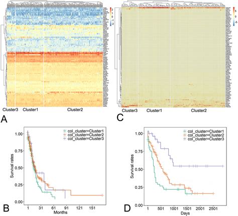 Hierarchical Clustering Of The 85 Genes Uncovered 3 Classes Of Aml Download Scientific Diagram