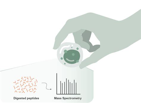 Single Cell Proteomics