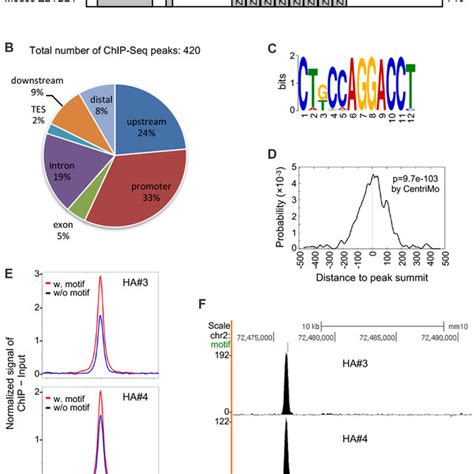 Chip Seq Analysis Identifies A 12 Bp Consensus Dna Sequence Recognized